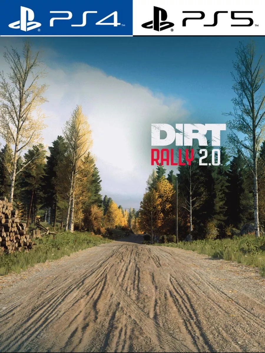 Psn dirt rally 2.0 store